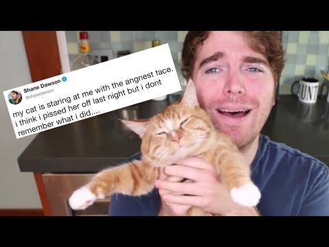 shane dawson RESPONDS to his "cat scandal"