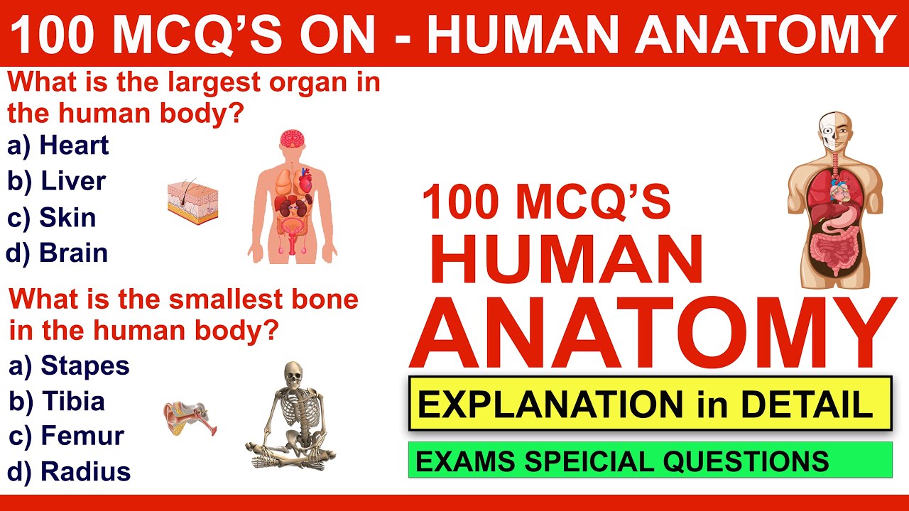 100 anatomy quiz question and answers | mcqs on anatomy | general anatomy mcqs | #anatomytrivia