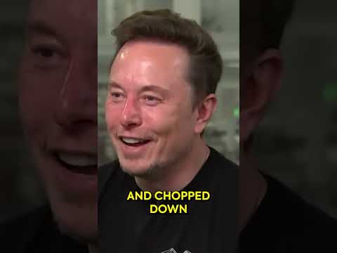 Elon Musk Bids $100b to Take Over OpenAI!