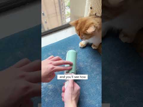 Use This Roller Instead of Lint Roller!