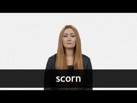 SCORN definition and meaning | Collins English Dictionary