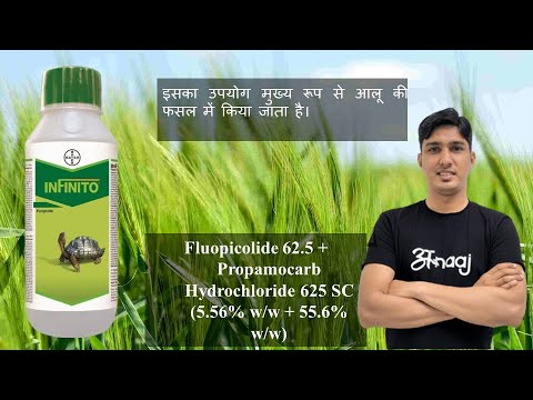 Bayer Fungicide - Latest Price, Dealers & Retailers in India