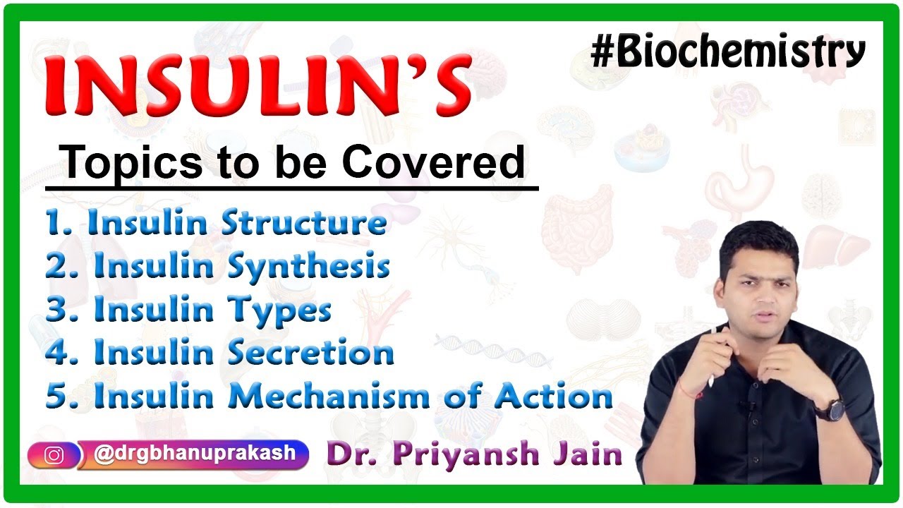Insulin structure, Insulin synthesis, Insulin types, Insulin Secretion, Insulin mechanism of Action