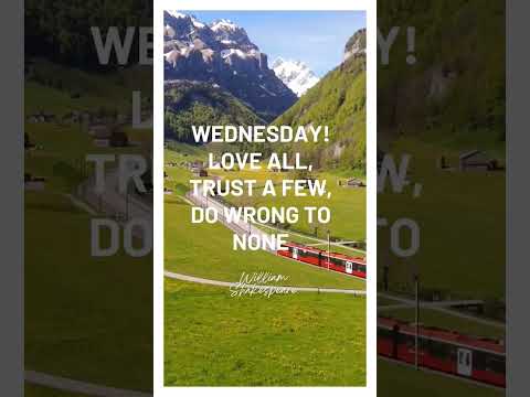 Wednesday quote #wednesday #quotes #motivation #success #dailyquotes #daily