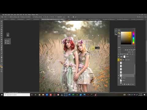 How to use the Natural Fairy Wing Overlays by Tara Mapes