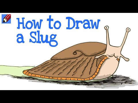 How to draw a Slug Real Easy – Shoo Rayner