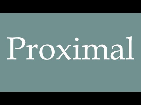 How to Pronounce ''Proximal'' Correctly in French