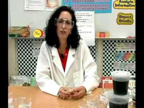 Chemistry Facts: What Does Ph Stand For?