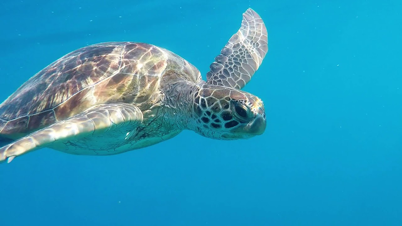 Whitsundays 2018