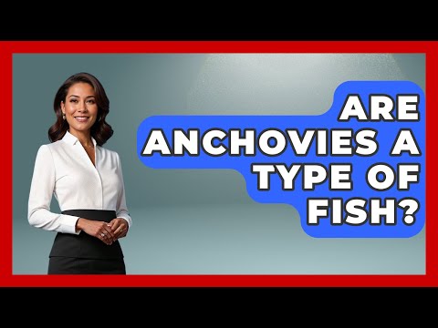 Are Anchovies A Type Of Fish? - The Marine Life Explorer