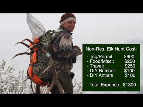 Cost of Meat - Hunt or Purchase?