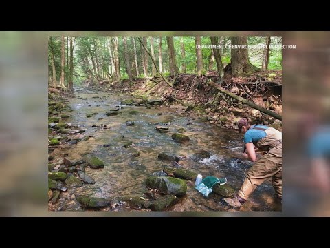 Lancaster County has the most impaired streams in Pa. per DEP water quality report