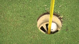 3 Best Golf Courses in Columbia, SC - Expert Recommendations