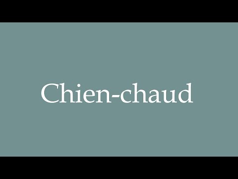 How to Pronounce ''Chien-chaud'' (Hot dog) Correctly in French