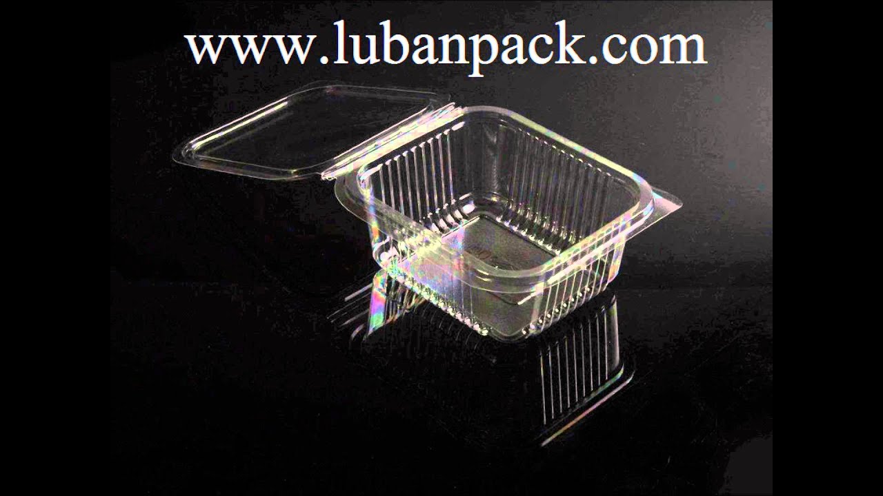 Disposable Plastic Container Manufacturer - Luban Pack