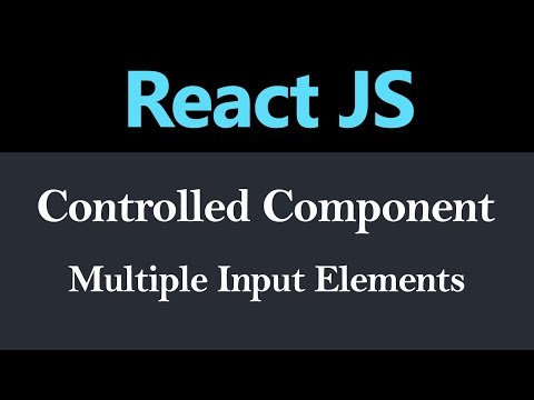 Learn Control Multiple Input Elements in React JS Hindi - Mind Luster