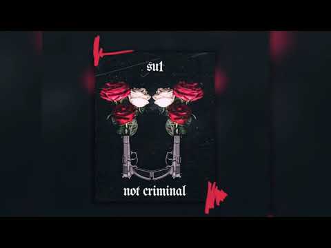 Su1 | not criminal | MLKNK