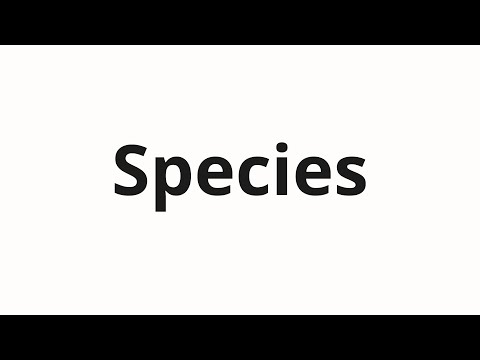 How to pronounce Species