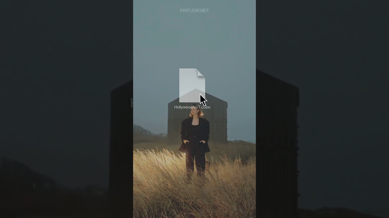 Hollywood color grading LUT on pixflow.net