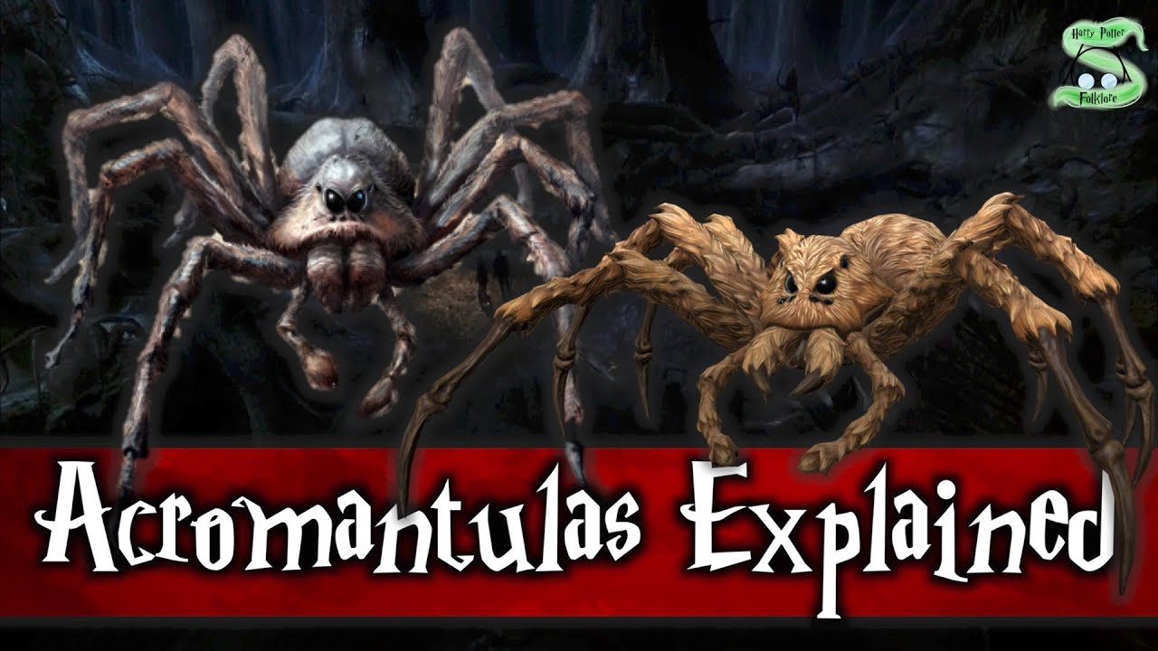 Acromantulas Explained: The Story Of Aragog