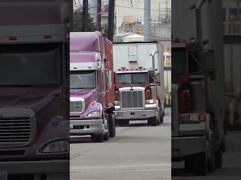 Simplify Freight Operations with Tailwind TMS | B-LOADED
