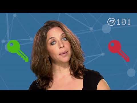 Dash 101.2 What Are Public And Private Keys?