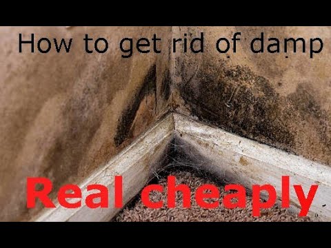 Another cheap cure for damp and mould.