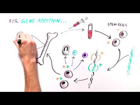 "Bubble Baby Disease" (SCID) Whiteboard Video