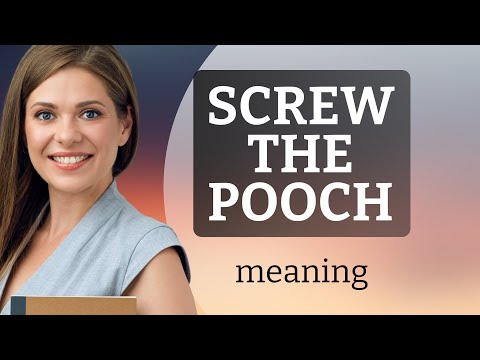 Understanding the Phrase "Screw the Pooch" - A Guide to Slang in English