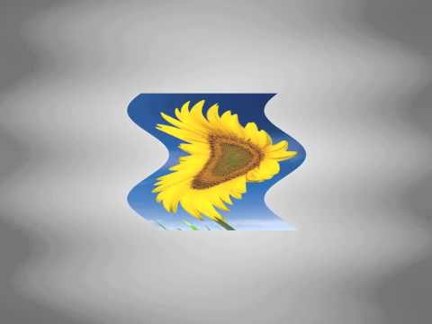 Using Shaders Mastering Openframeworks