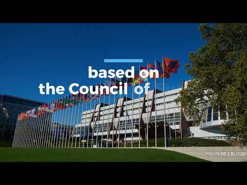 Ad Hoc Committee on Artificial Intelligence (CAHAI)