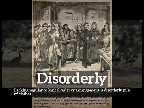How Does Disorderly Look? | How to Say Disorderly in English? | What is Disorderly?