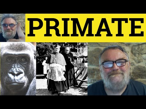 🔵 Primate Meaning - Primates Examples - Primate Definition - Primate
