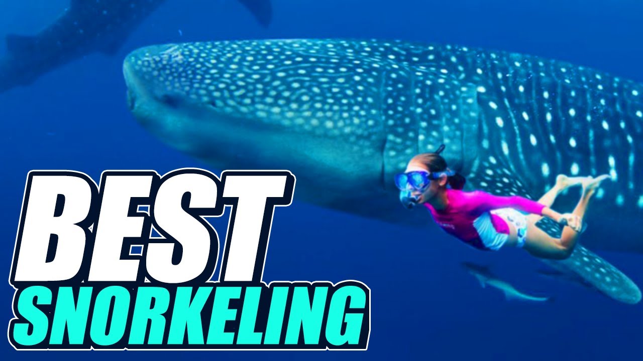 10 BEST SNORKELING DESTINATIONS in the World