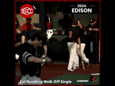 2024 ⚾ Cal Beadling Walk-off single 🆚 Edison - Steubenville Big Red #Baseball