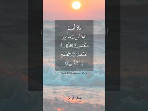 Surah At-Takweer Ayat 15-18 | Fidayat Ur Rahman #shorts #youtubeshorts