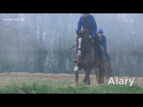 Alary on the gallops