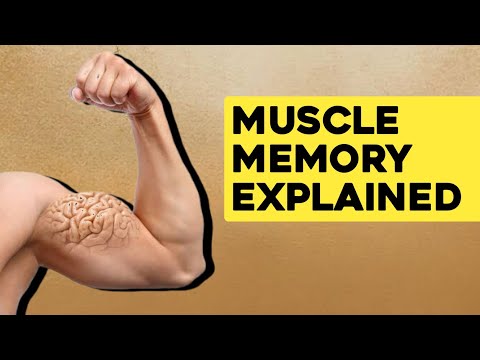 Is Muscle Memory Real or a Myth?