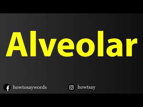 How To Pronounce Alveolar