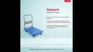 Buy Bigapple 300kg Capacity Single Platform Industrial Trolley, WH-1 Online At Price ₹4049