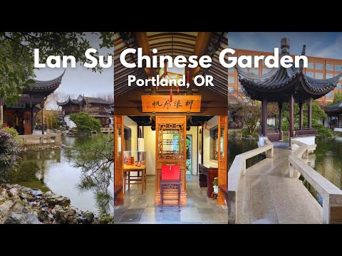 Lan Su Chinese Garden Tour | Things to do in Portland, Oregon