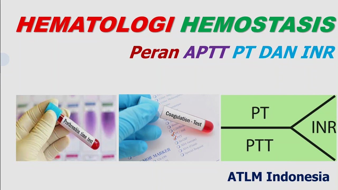 The Role of APTT, PT, and INR in Hemostasis | Monitoring Anticoagulant Drug Therapy, Vitamin K, H...