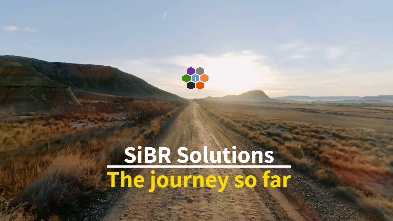 SiBR Introduction