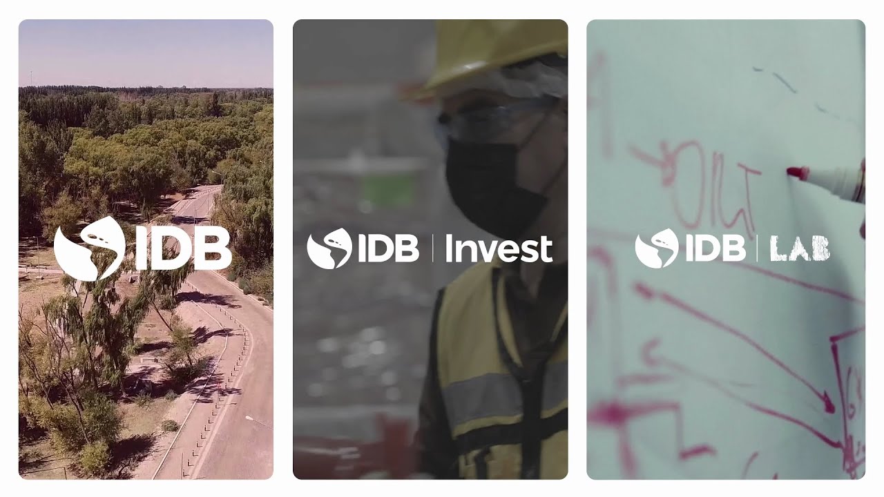 Introducing the IDB Group (Subtitles)