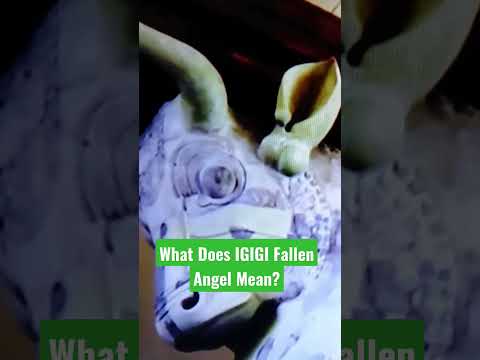 Why Does IGIGI Fallen Angel Mean?