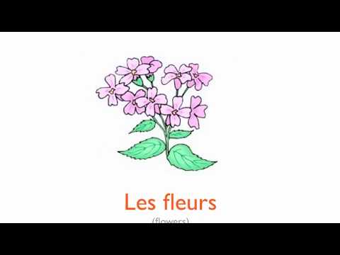French words for things you find outdoors - by LanguageMom
