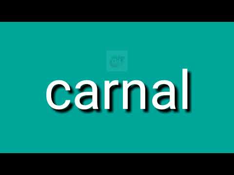 Carnal Antonym with meaning//Googul Dictionary//