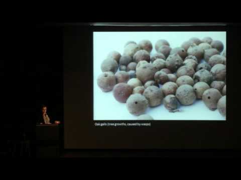 Curator's Perspective: Ink, Silk and Gold: Medium and Meaning in Islamic Art