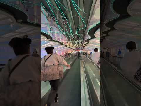 O'Hare International Airport Moving Walkways (2023-06-07, Chicago, IL) [4K]