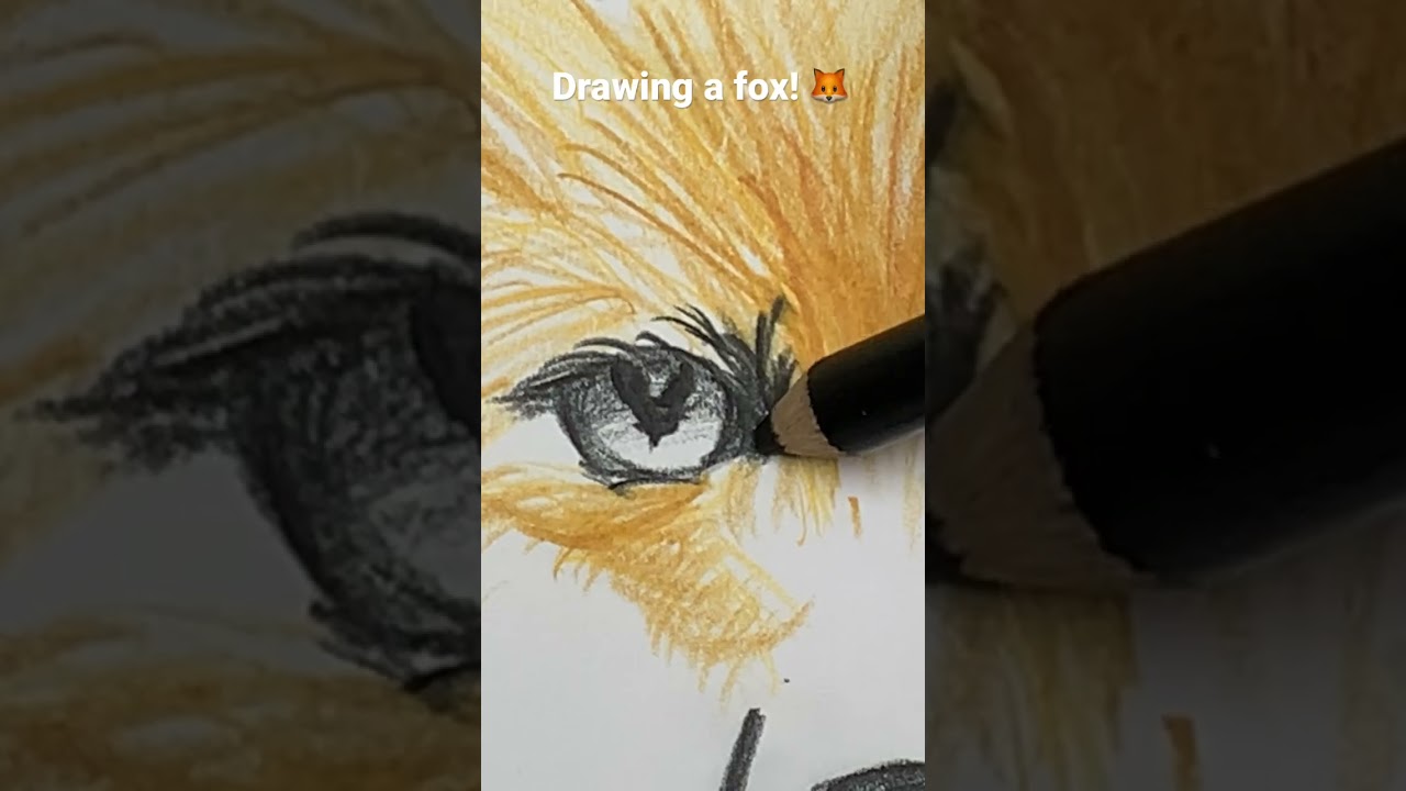 First time trying to draw a realistic fox! ✨🦊🤩